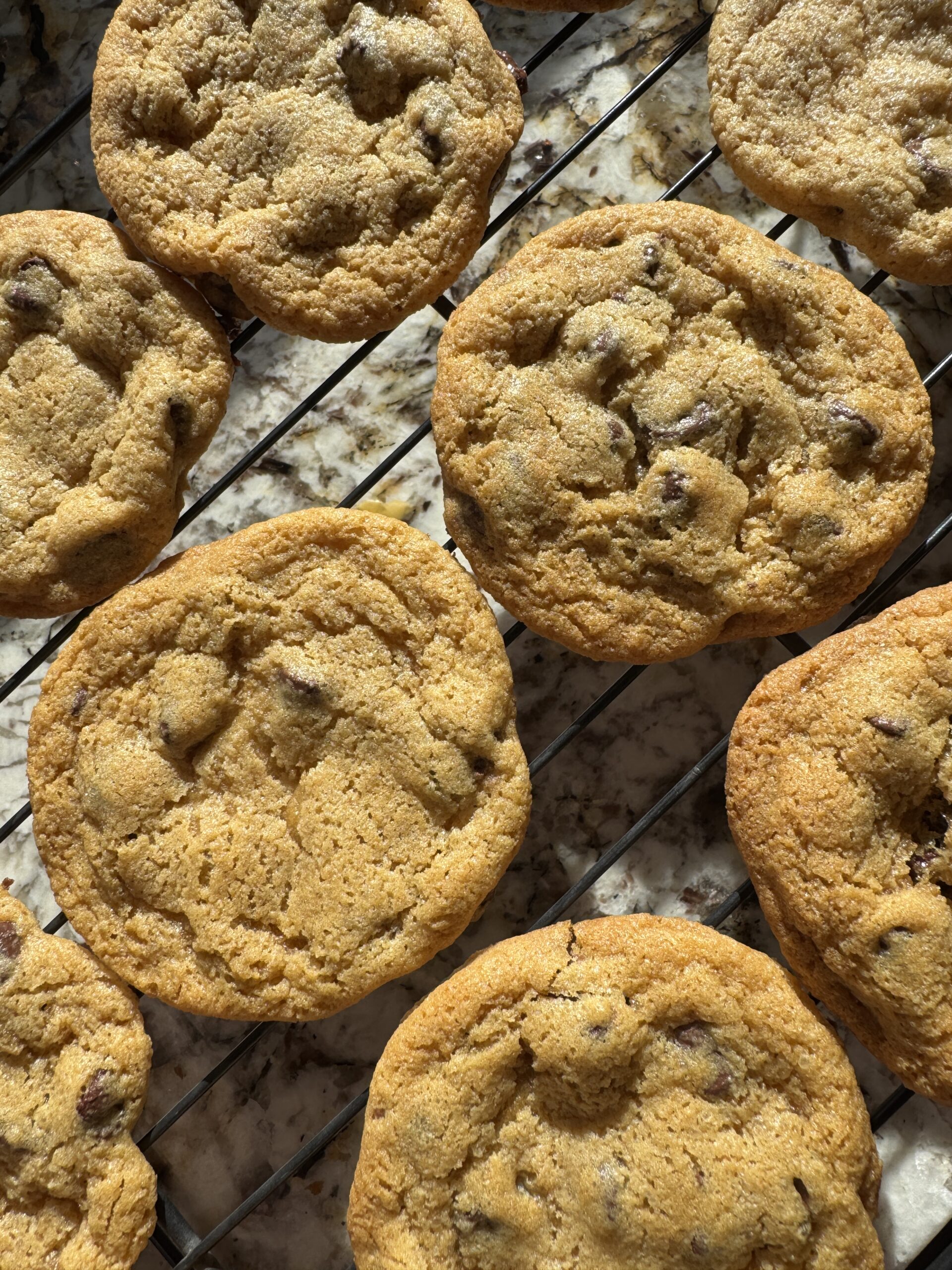 Fresh Milled Flour Chocolate Chip Cookies (Soft, Chewy, and Perfect ...